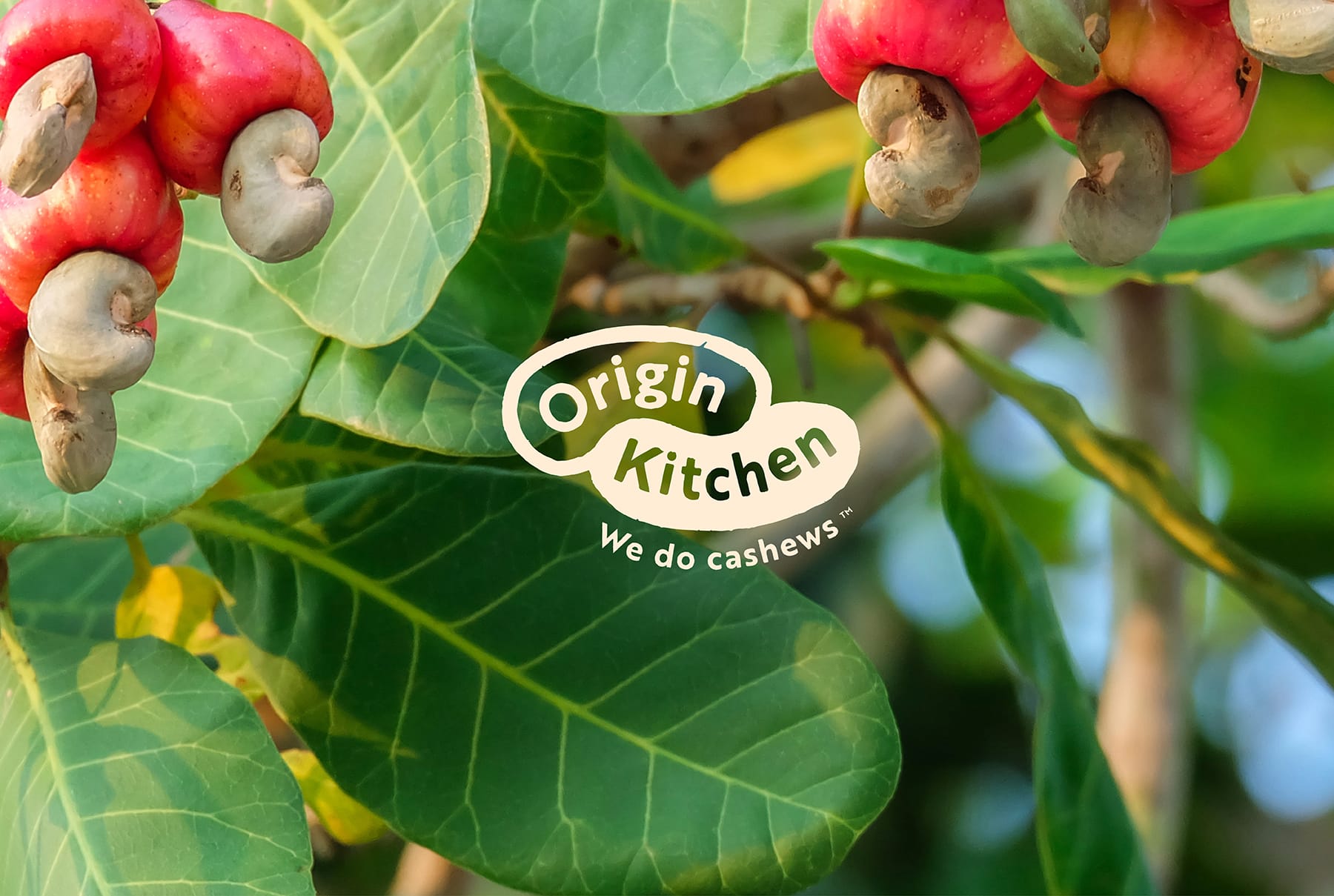 Branding & Packaging | Origin Kitchen | Eat With Your Eyes™